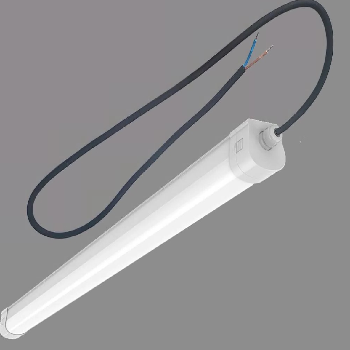 Cold And Freezer room Light – Qualiparts